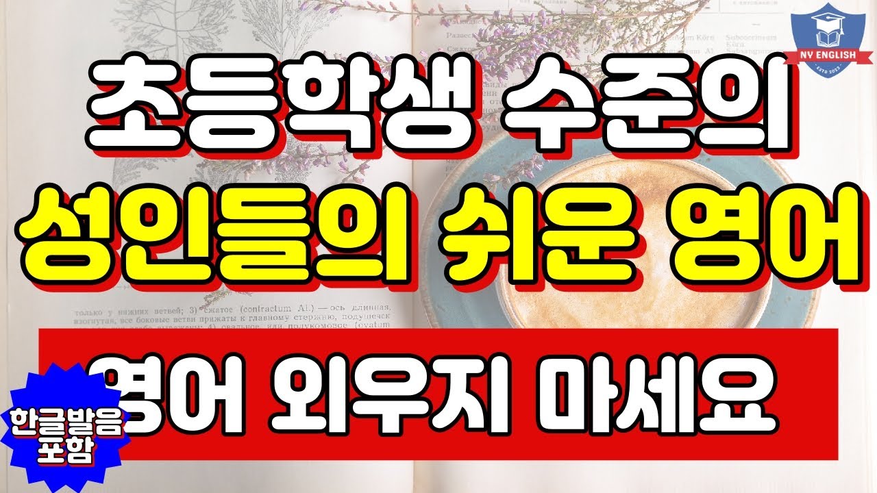 쉬운영어11 초등학교 수준으로 성인들이 배우는 아주 쉬운 왕초보 영어회화 기적 공부법 초간단 쉽게 해외여행 비지니스 독학