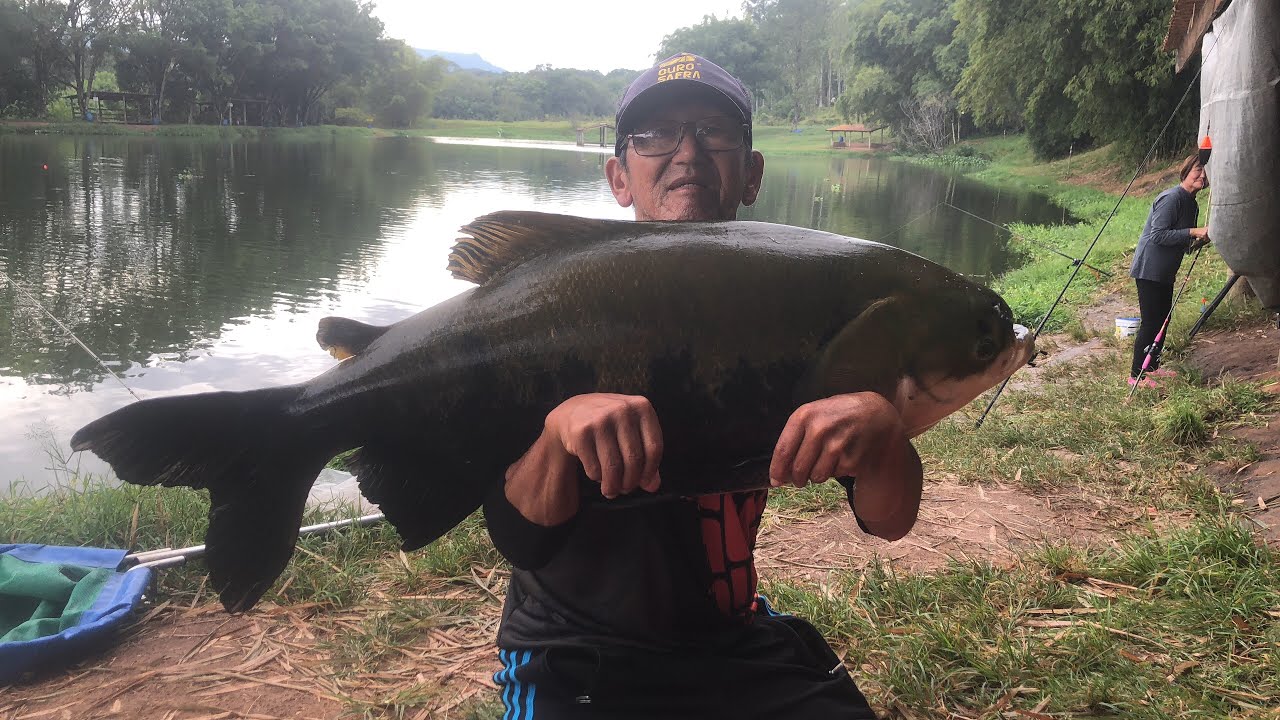 Pescaria no pesqueiro castelinho (parte 3 final ) verde de 21kg - YouTube