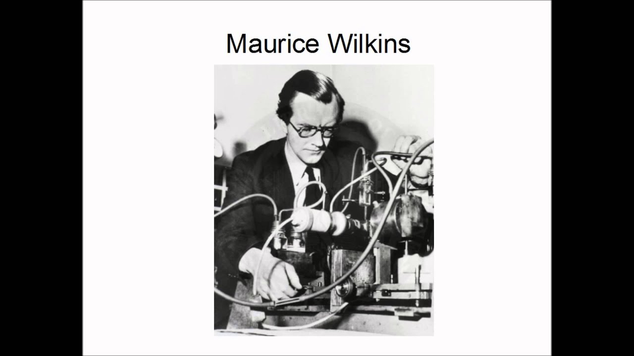 Who discovered DNA? - YouTube