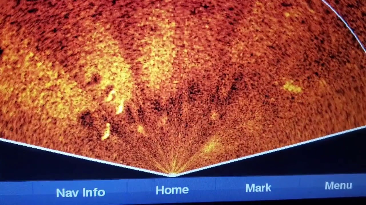 Garmin Panoptix Livescope Perspective Mode Seeing Fish - YouTube