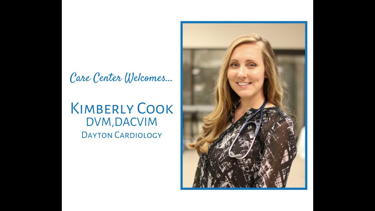 Care Center Welcomes Kimberly Cook, DVM, DACVIM! - YouTube