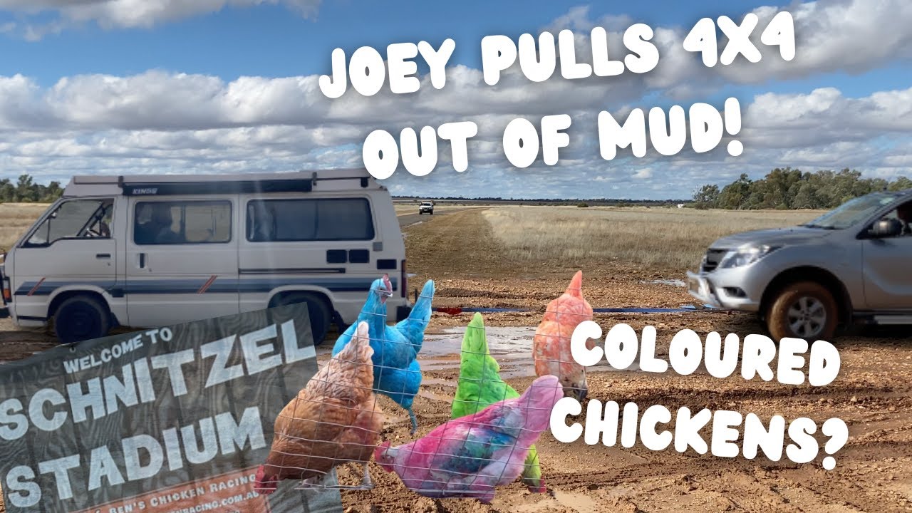 Racing CHICKENS in Outback Australia - Matilda Way | QLD OUTBACK EP 3 ...