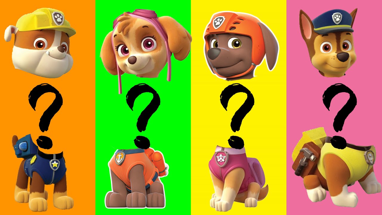 PAW PATROL | MATCH THE HEAD - YouTube