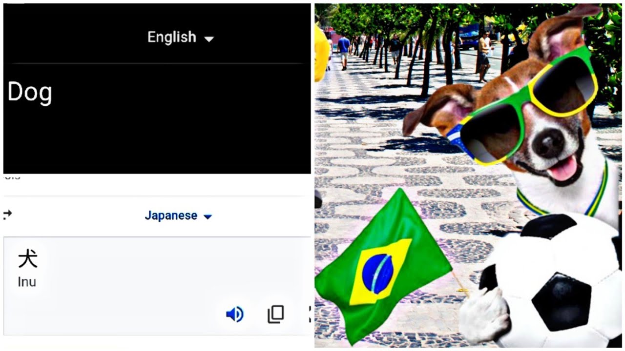 Dog in different languages meme - YouTube