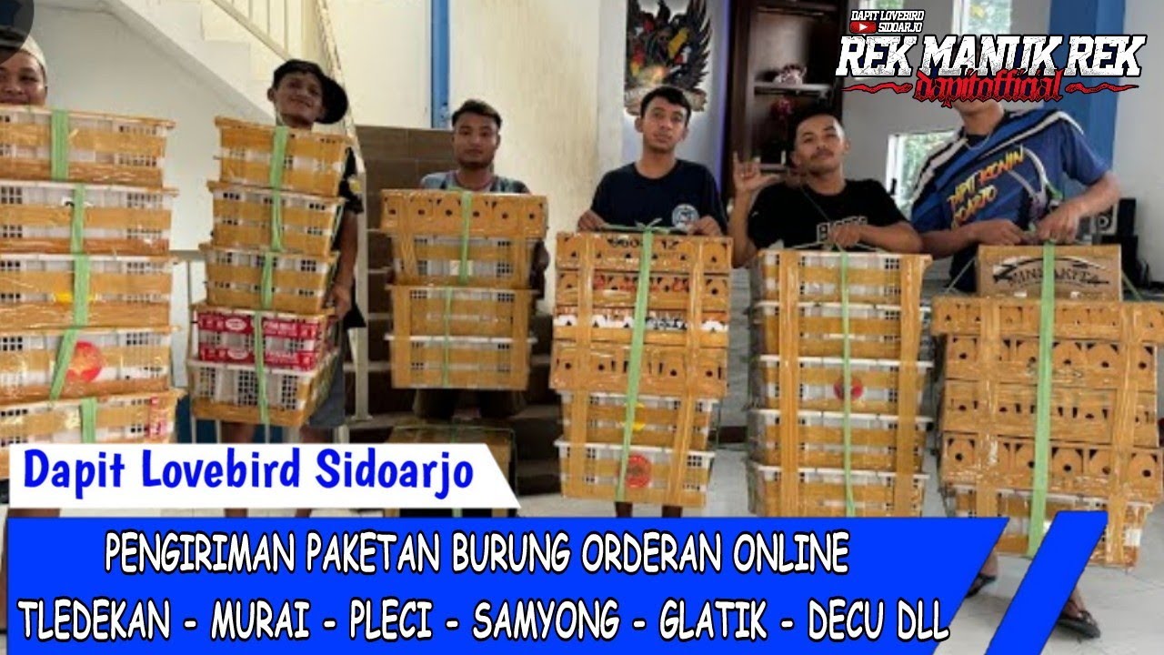 PENGIRIMAN PAKETAN BURUNG ORDERAN ONLINE !!! TLEDEKAN - MURAI - PLECI ...