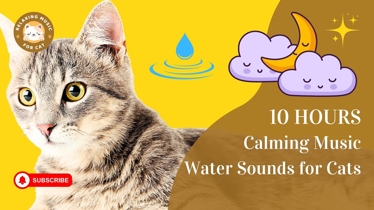 Calming Music Water Sounds for Cats 10 Hours 🐱😌 Relaxing Music for Cat ...