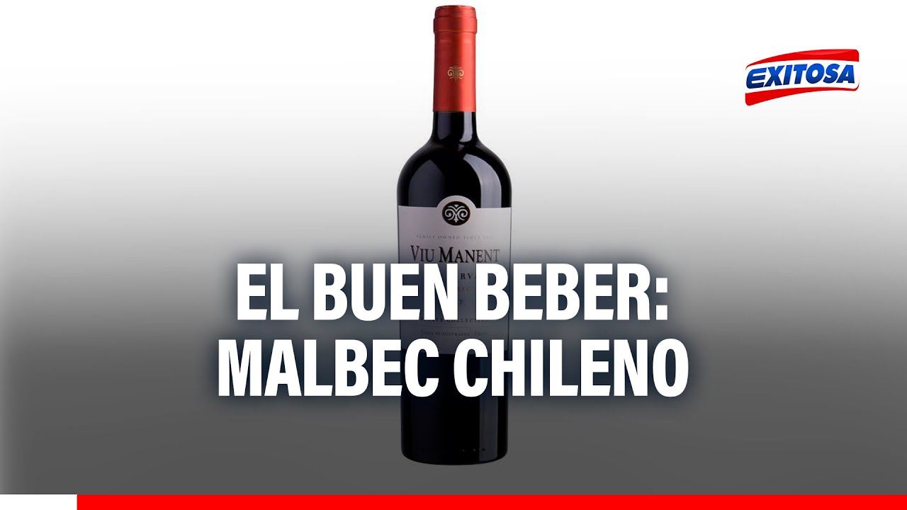 🔴🔵El Buen Beber: Conoce todos los detalles sobre el malbec chileno ...