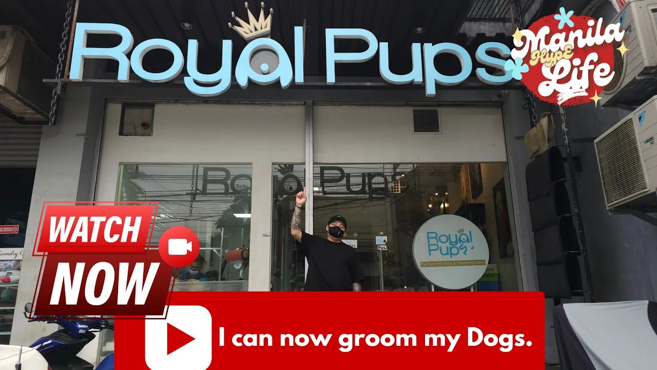 how to take care of your Pets? Grooming tips from Royal Pups' stylists ...