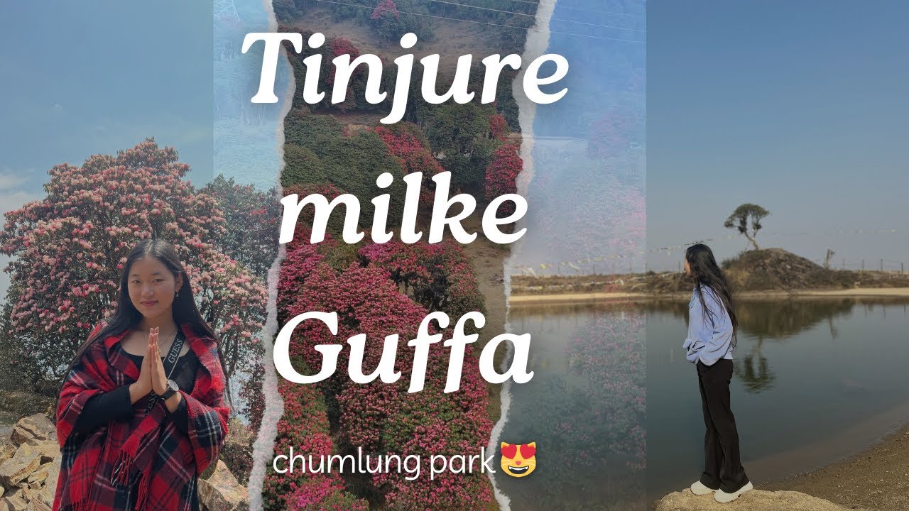 Our first travel video is coming out plz support us⬇️#travel #tinjure # ...