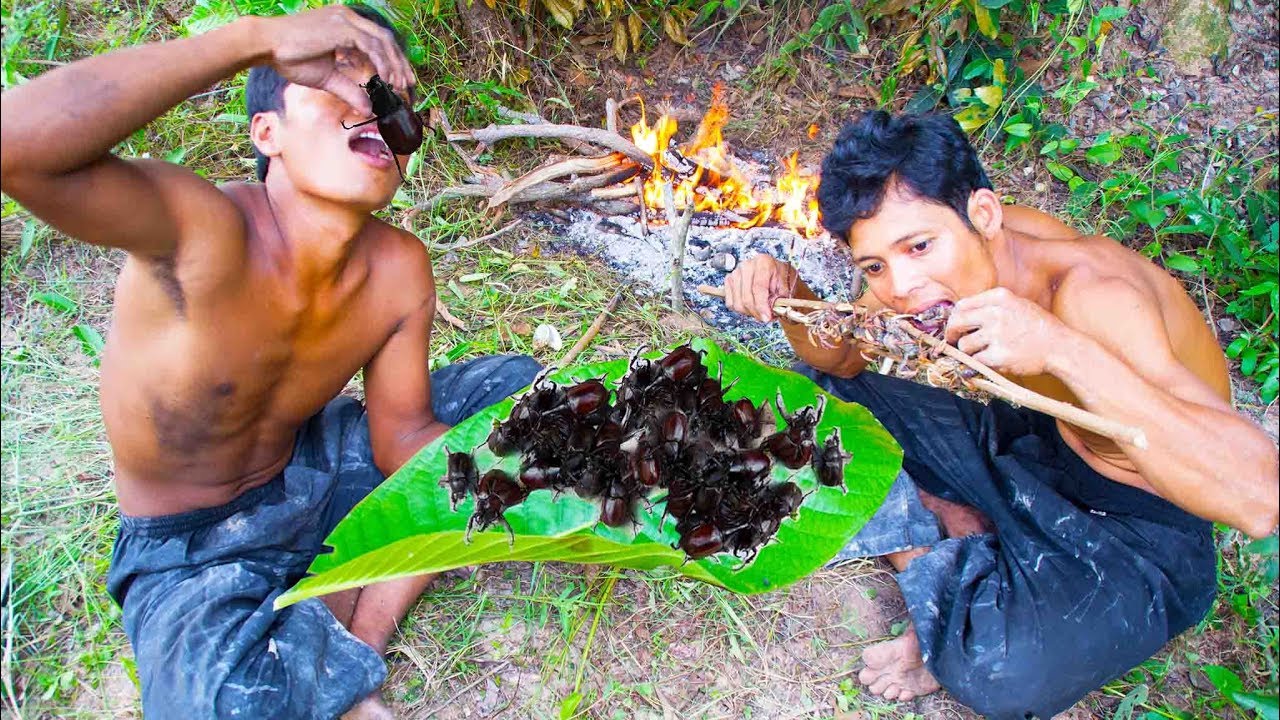 Find dung beetle on tree and crabs in water - grilled dung beetle ...