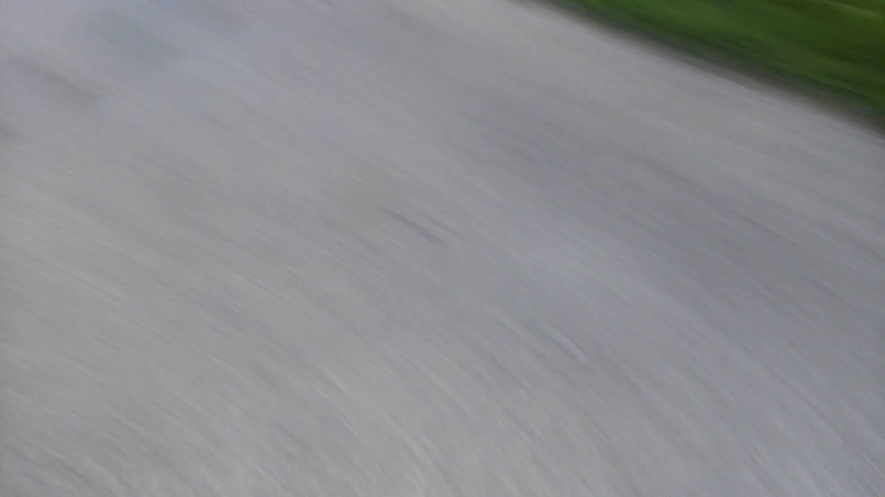 Alligators On A Train! (2017) Part 8 - YouTube