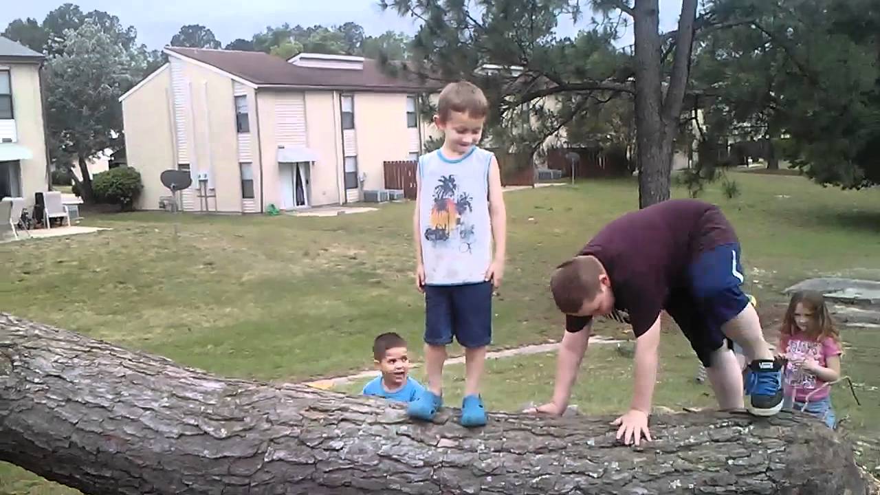 Boy gets pushed off a tree - YouTube