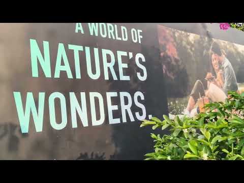 Shoha townpark 9032026 