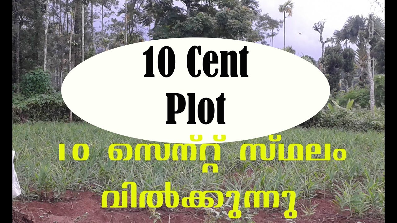 10 Cent plot for Sale in Wayanad | Kerala Residential Plot | Real ...