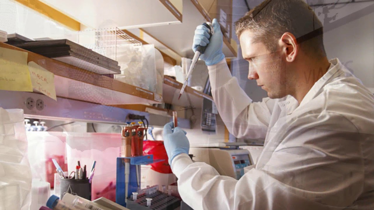 A Decade of Advances: Wilmot Director Dr. Jonathan Friedberg Reflects ...
