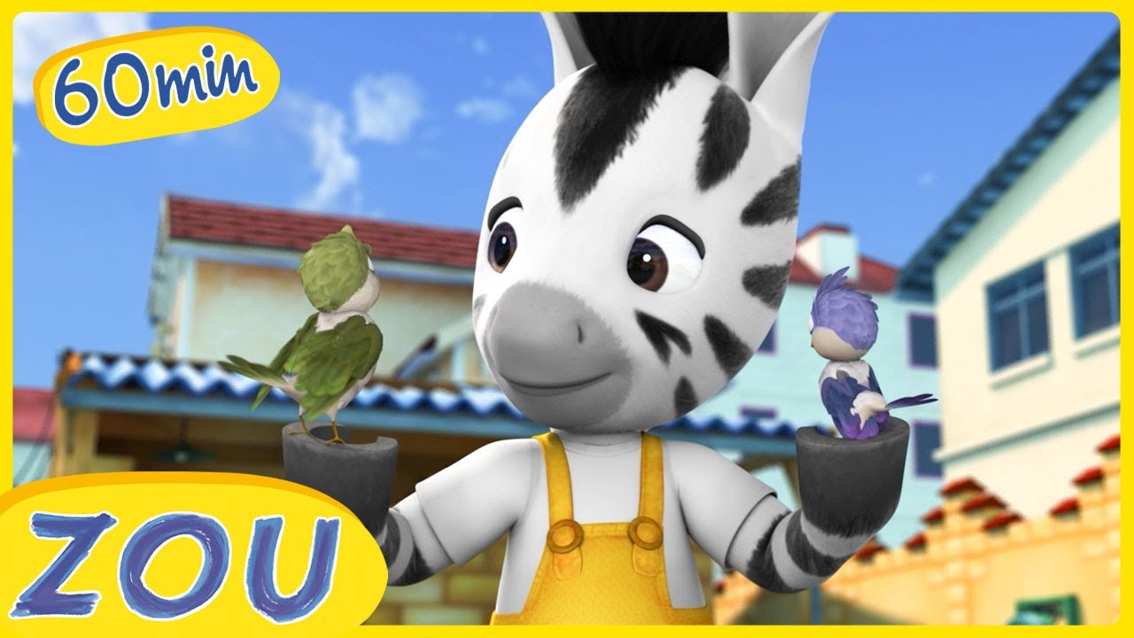 Zou, Friend of Animals | 1 Hour Compilation | Zou in English 🦓 ...