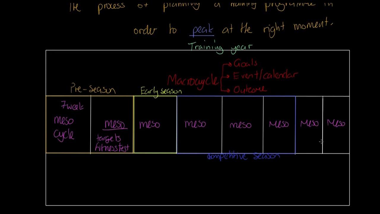 IB Sports, exercise and health science 2024: Periodisation - YouTube