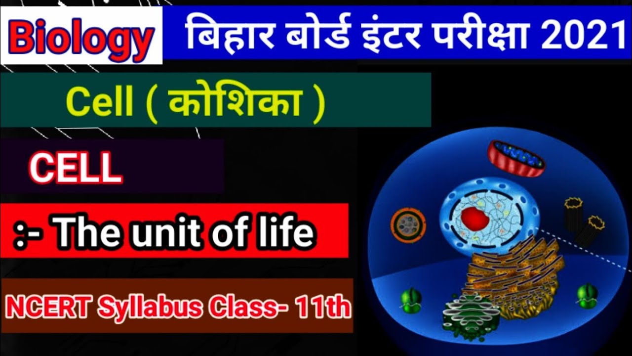 Structure of Cell & function कोशिका की आकार और उनकी संरचना |Biology ...