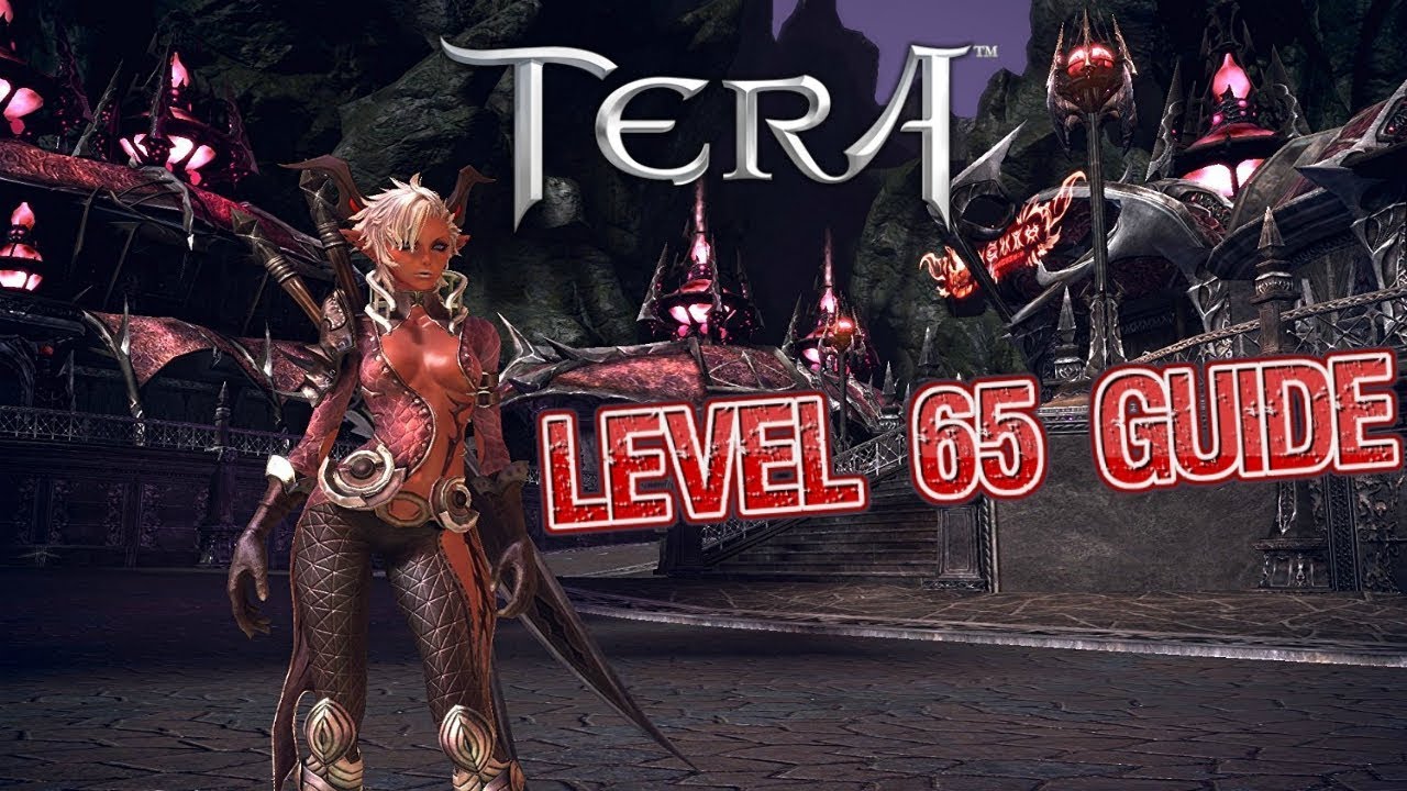 Tera Console - What to Do at Level 65 | Step-by-Step Tutorial - YouTube