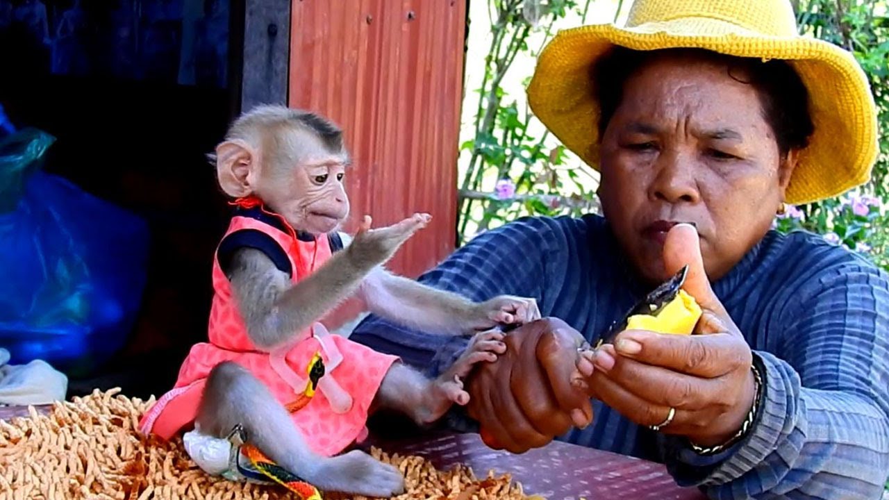 Elly show her hand to mom cos she need some mango to eat - YouTube