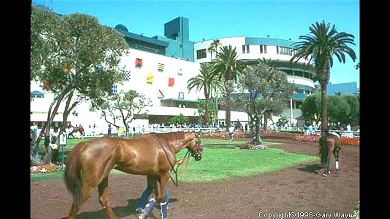 Hollywood Park Horse Racing - YouTube