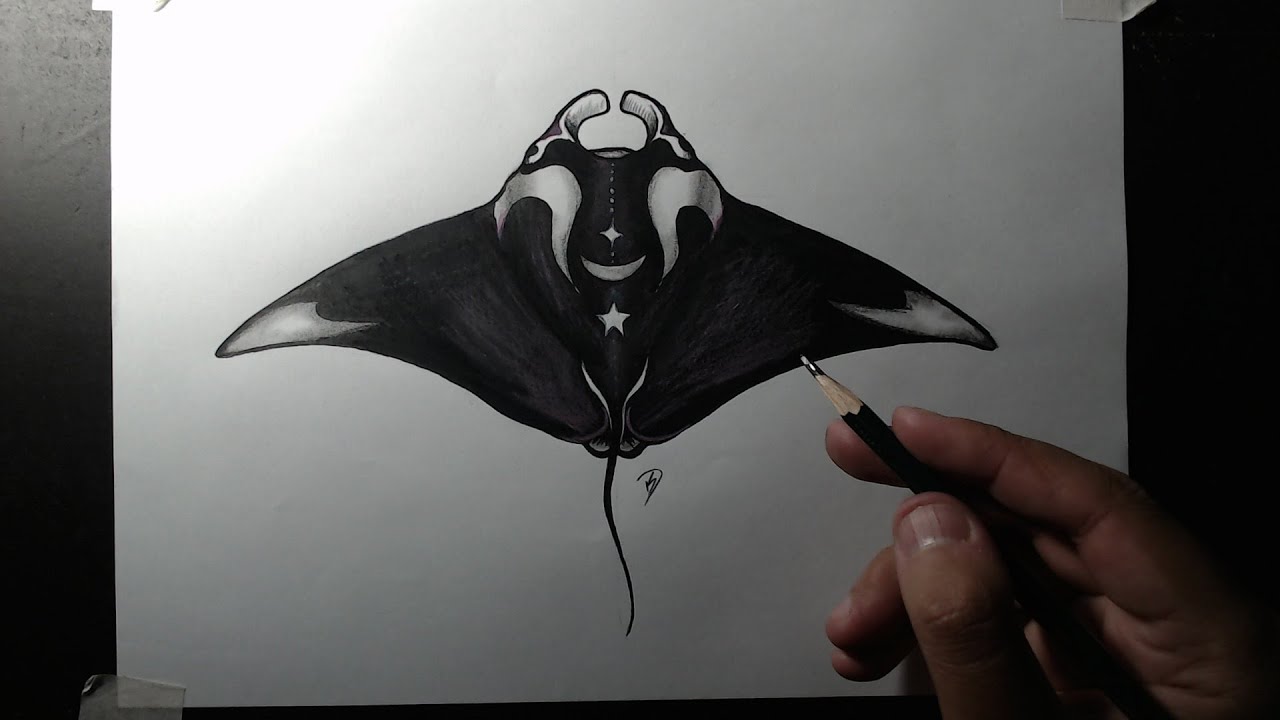 Como desenhar raia passo a passo - YouTube