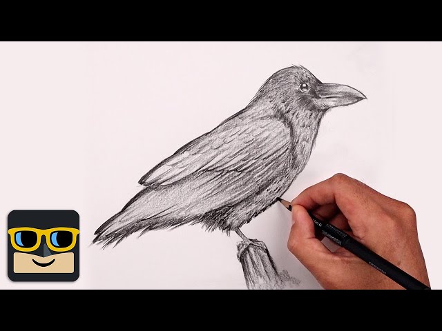How To Draw Raven Tutorial