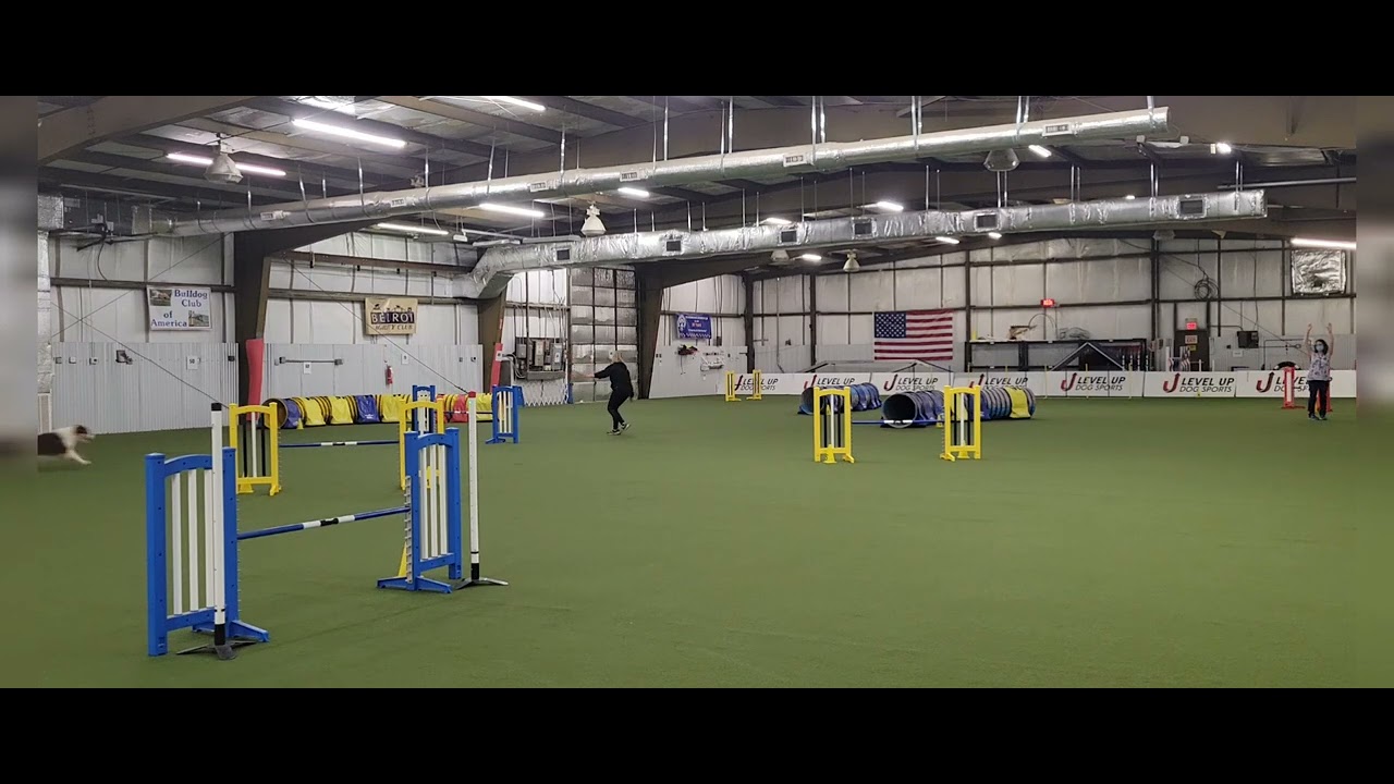 Scorch's 1st ISC (Level 1) trial! 12/31/22 - YouTube