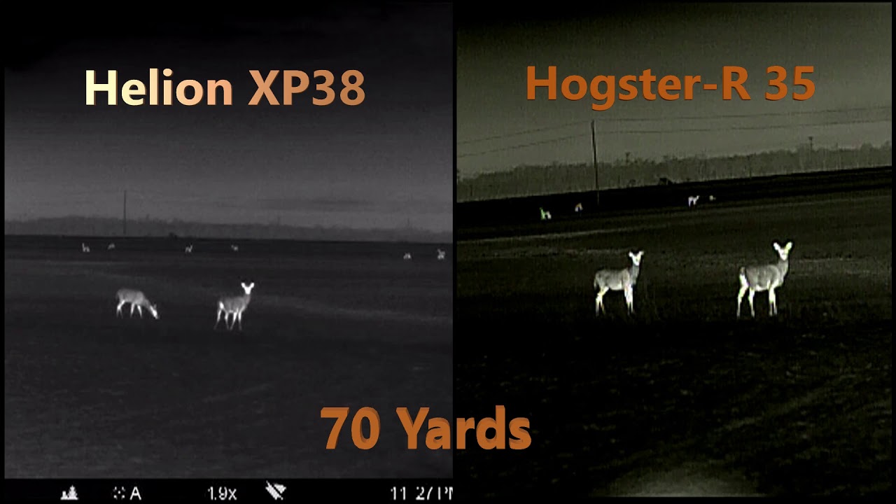 Pulsar Helion XP38 & Bering Optics Hogster-R 35 - YouTube