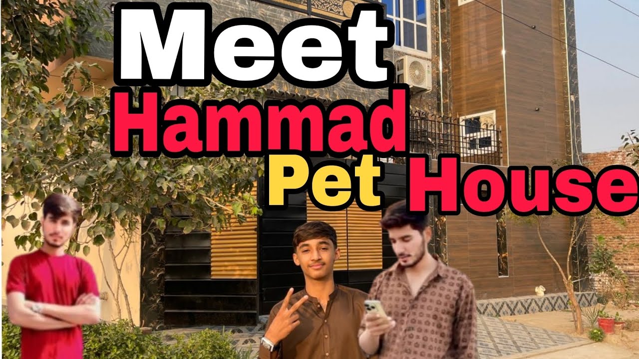 Meet With Hammad Pet House 🏡||Big YouTuber😱😱 - YouTube