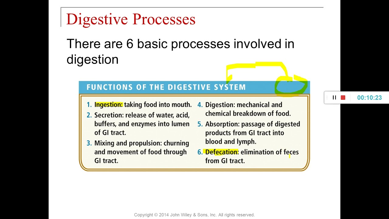 Principles of Anatomy and Physiology ///The Digestive System //part 1 ...