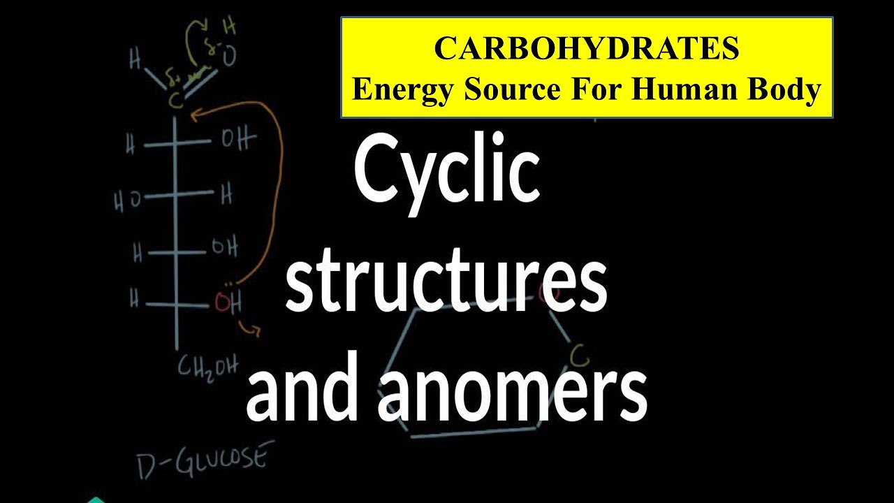 LECTURE 2 CYCLIC STRUCTURE AND ANOMERS OF CARBOHYDRATES. - YouTube