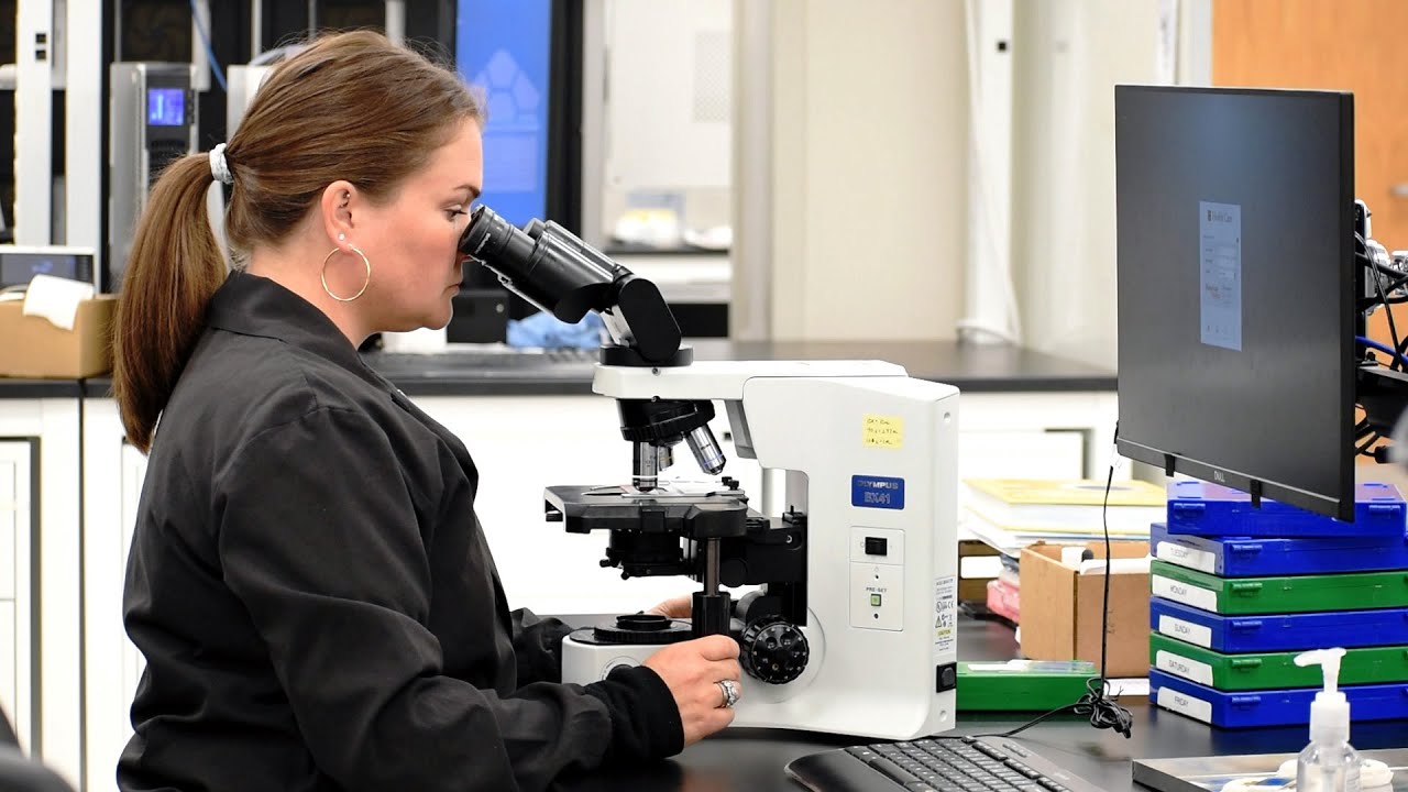 What is Clinical Laboratory Science? | Work behind the scenes in health ...