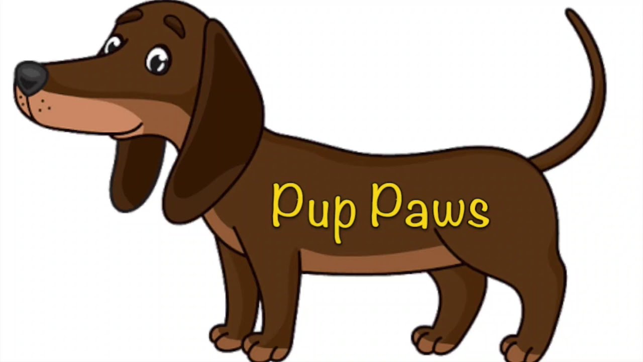 Pup Paws intro *new* - YouTube