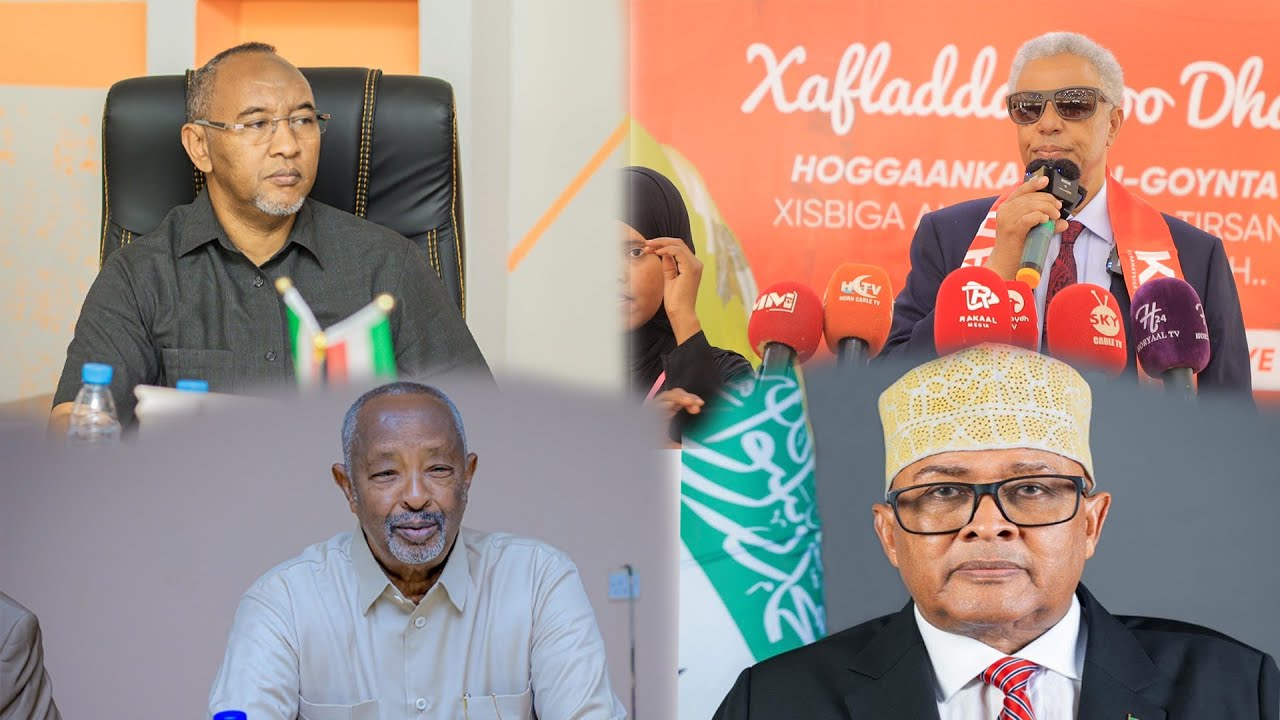 "Xisbiyada Qaranku Waxay Ku Guuldaraysteen In Ay Qabyaalada Meesha Ka ...