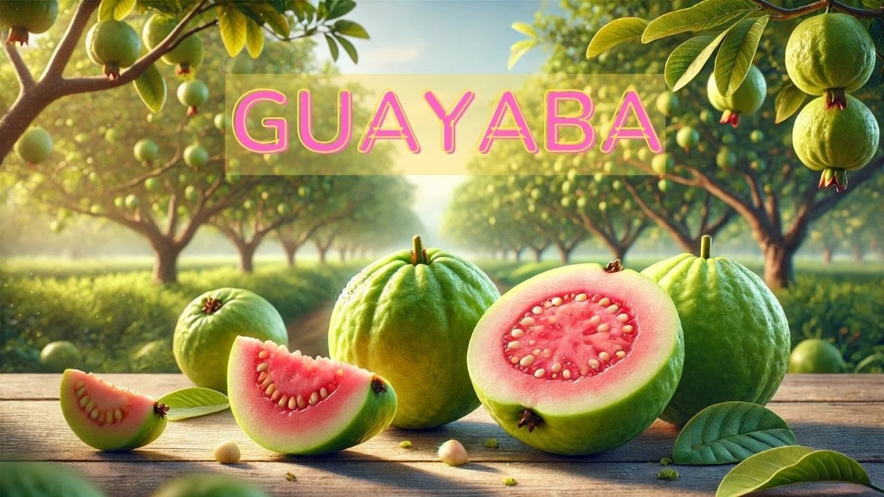 Guayaba: Increíbles Beneficios, Historia, Usos y Datos Curiosos 🍈 ...