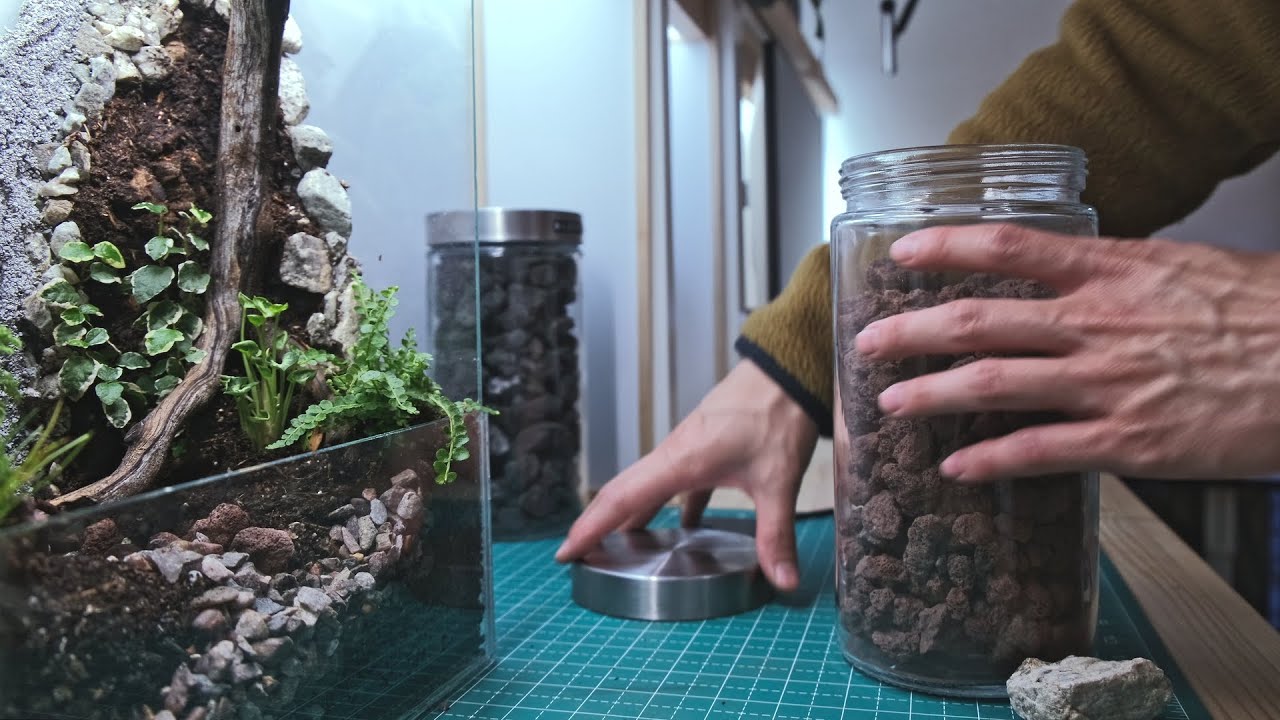 Making a mystical rainforest with miniature terrarium plants - YouTube