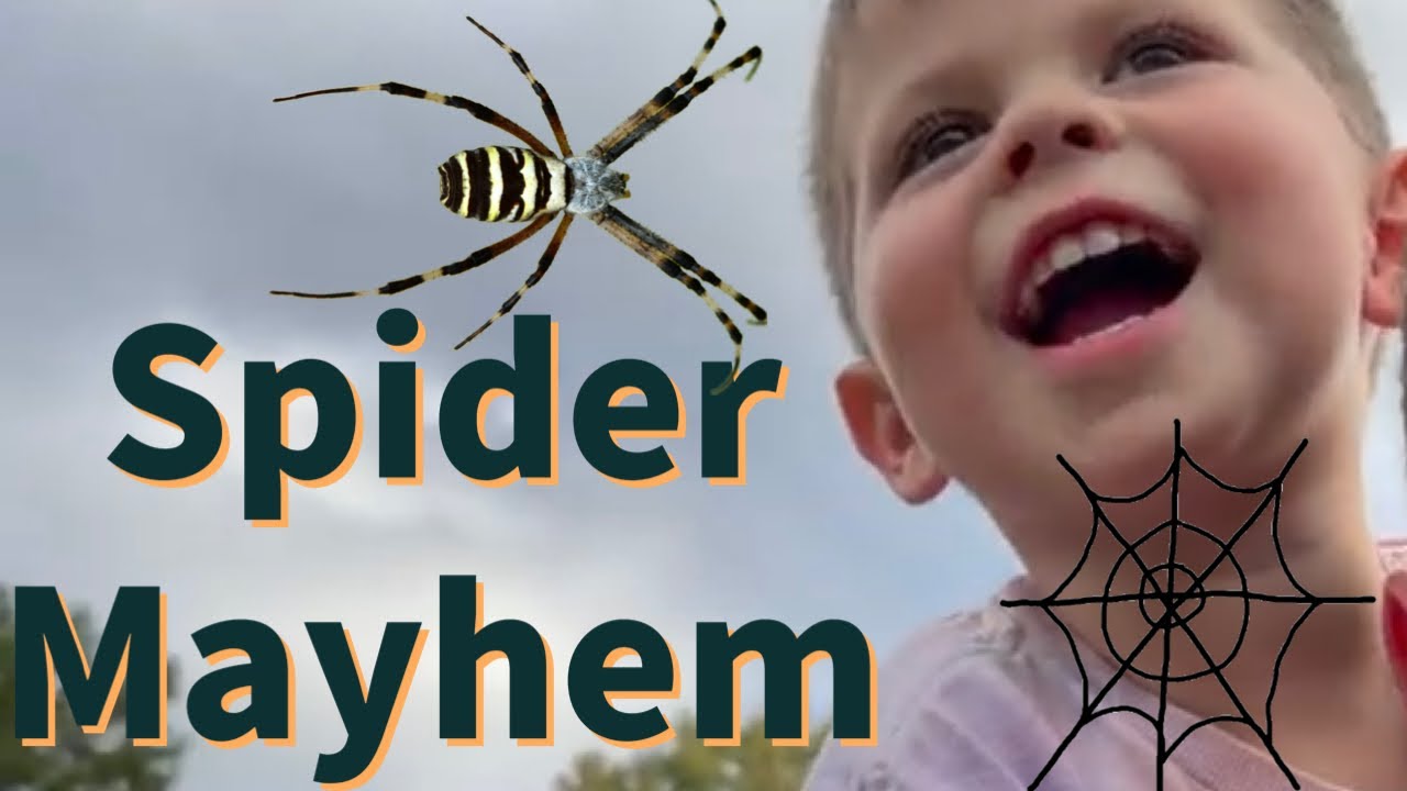 Writing Spider MAYHEM! - YouTube