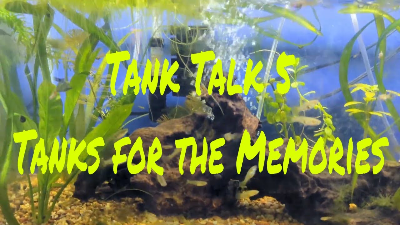 Tank Talk EP-5 Tanks for the Memories - YouTube