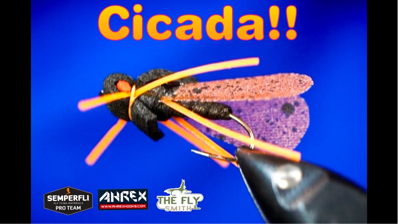 Cicada Fly Pattern! - YouTube