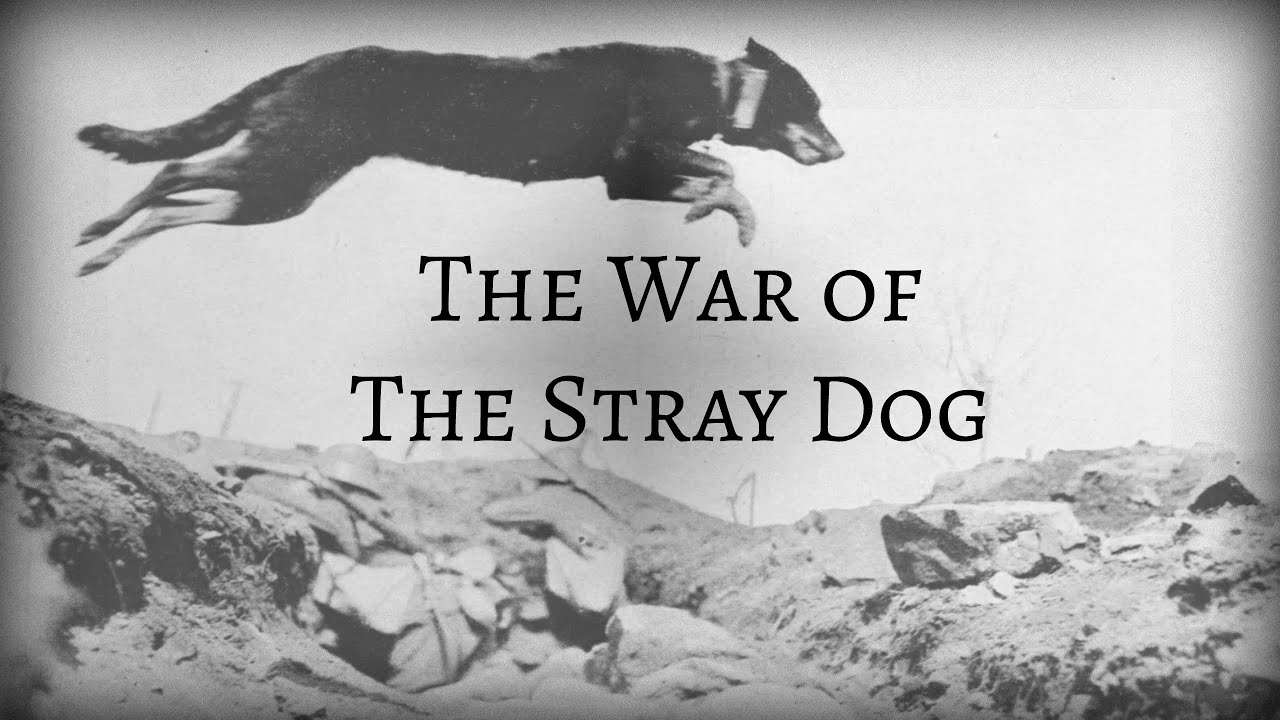 Obscure Wars: How a dog started a war between Greece and Bulgaria ...