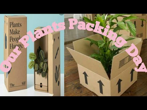 How to pack plants online/plants packing/Aamis wonderland/Easy to pack ...