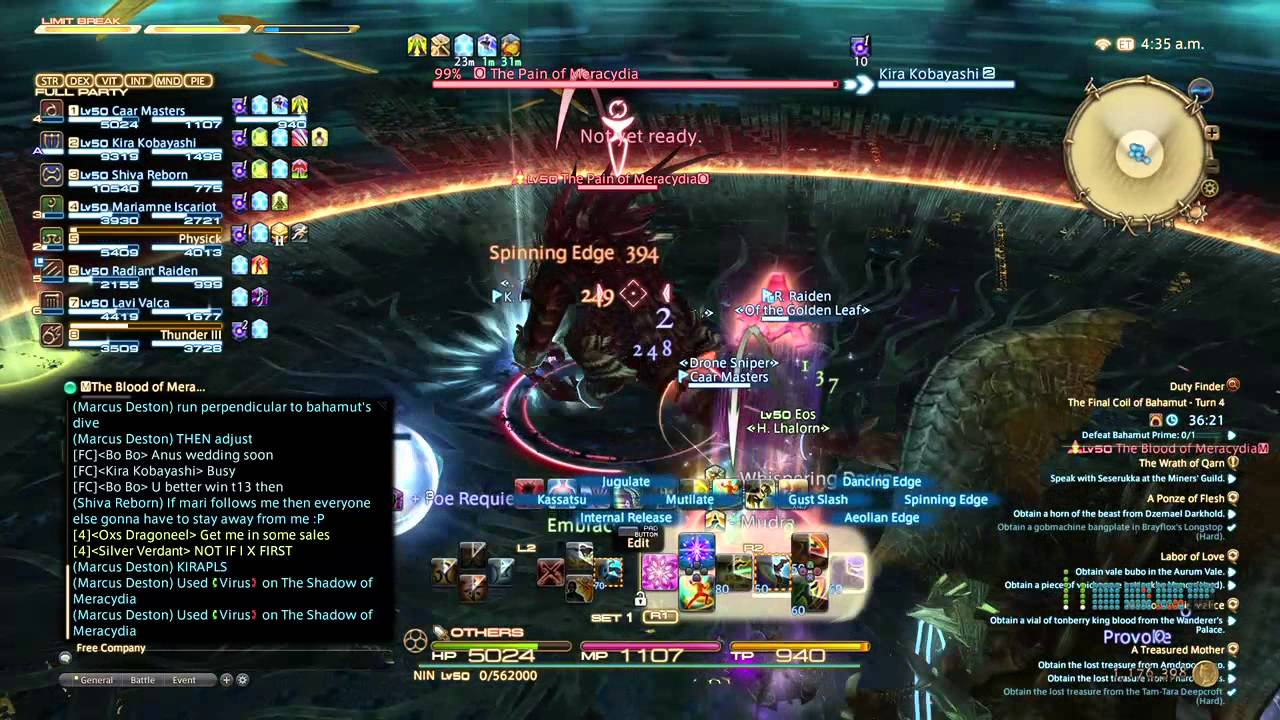 FINAL FANTASY XIV: A Realm Reborn Behemoth T13 clear NIN POV - YouTube