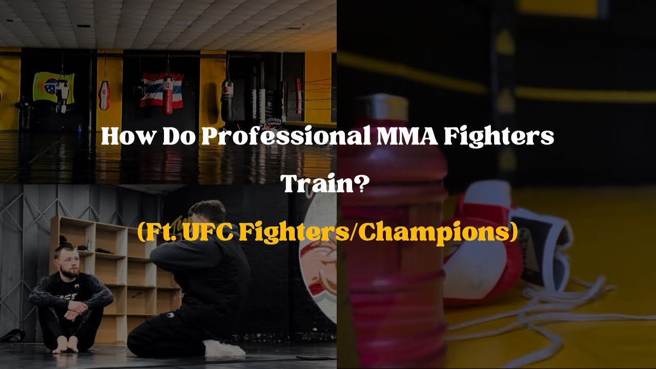 How Do Professional MMA Fighters Train? (Ft. UFC Fighters/Champions ...