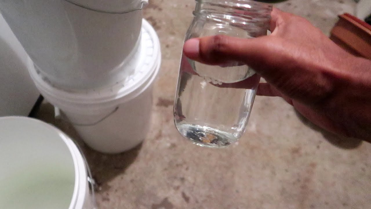 Natural Homemade Emergency Water Filter - YouTube