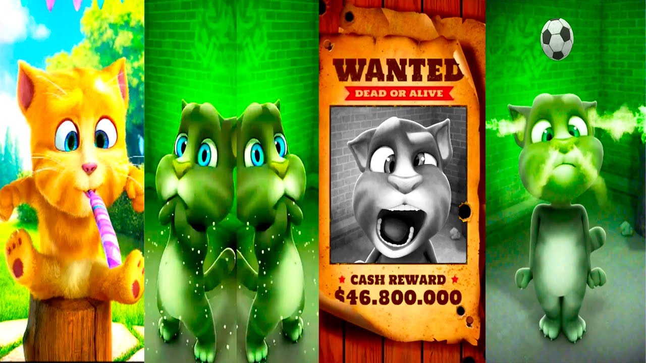 My Talking Tom Funny Cats Talking Tom Cartoon - YouTube