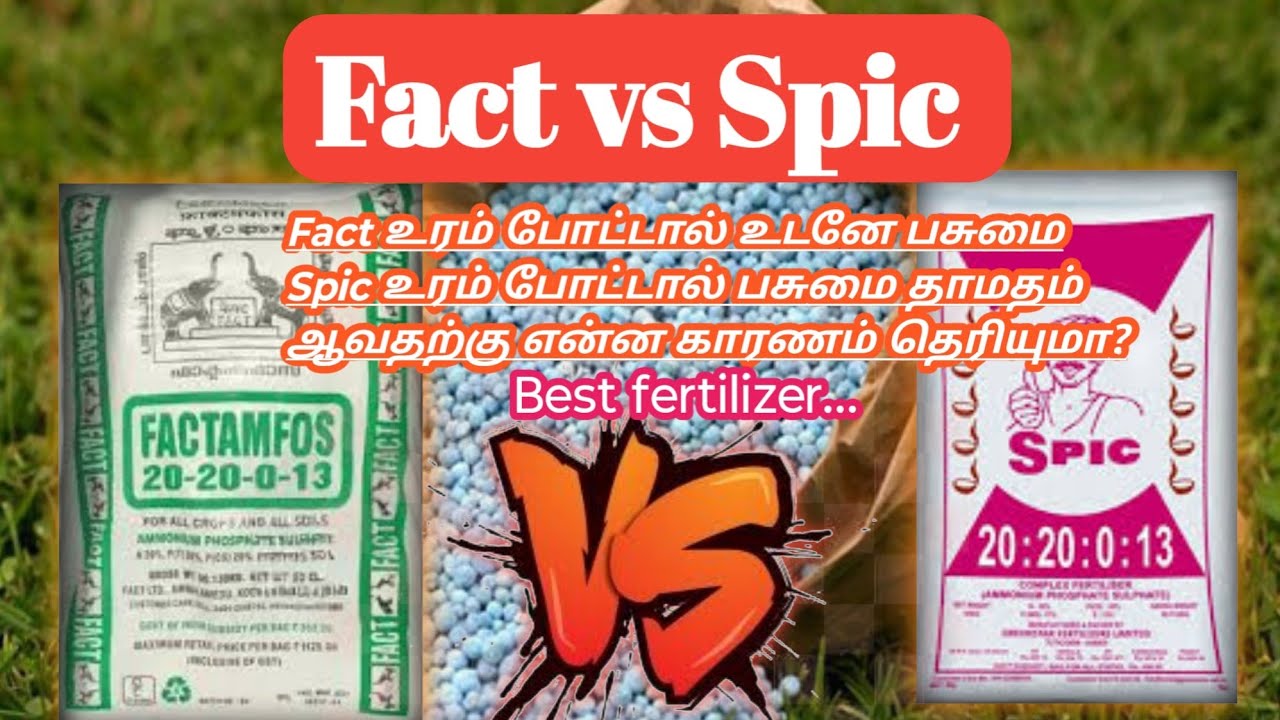 Fact fertilizer Vs Spic fertilizer 20:20:0:13 - YouTube