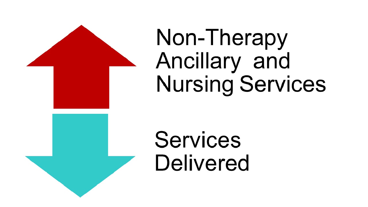 Webinar | Skilled Nursing Facility Patient Drive Payment Model (PDPM ...