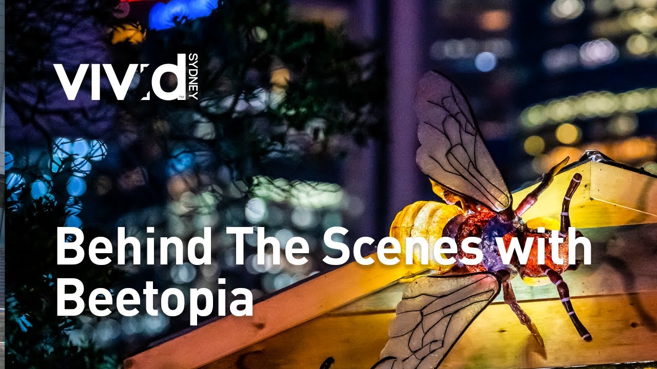 Vivid Light 2019 | Behind The Scenes with Beetopia - YouTube