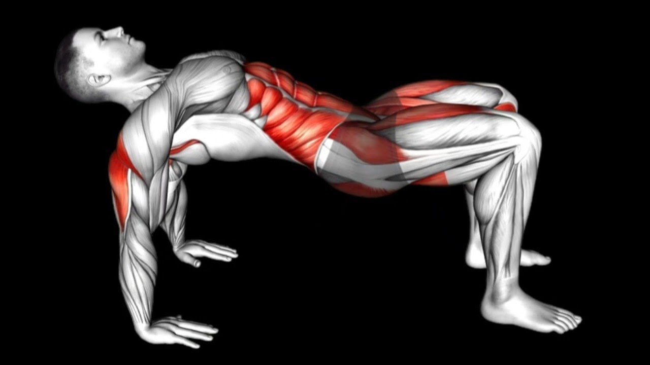 Just 10 Minutes of Full Body Fitness Exercise | Home Workout Chest ...